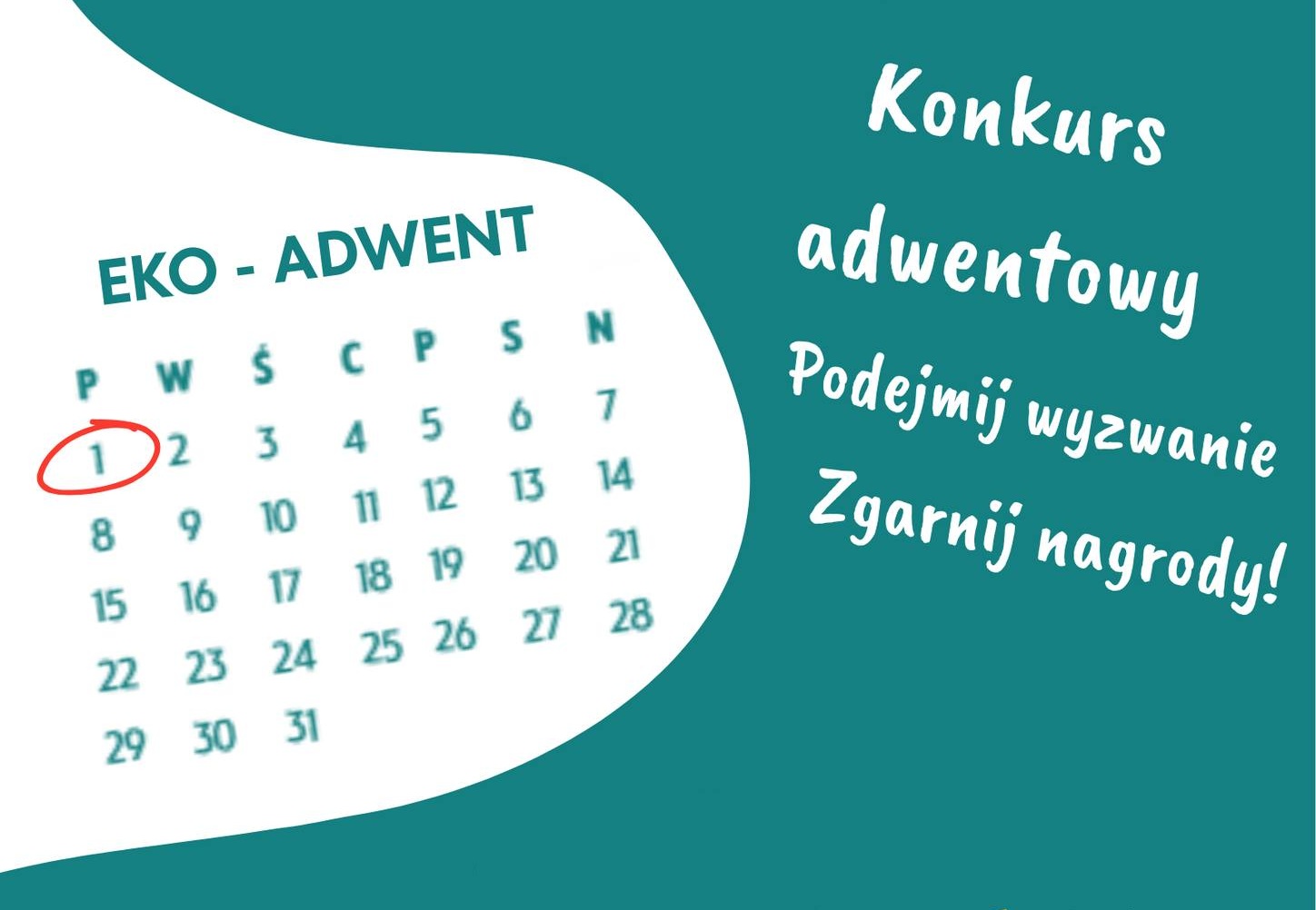 Eko Kalendarz Adwentowy - grudniowa propozycja studentów biologii na ...